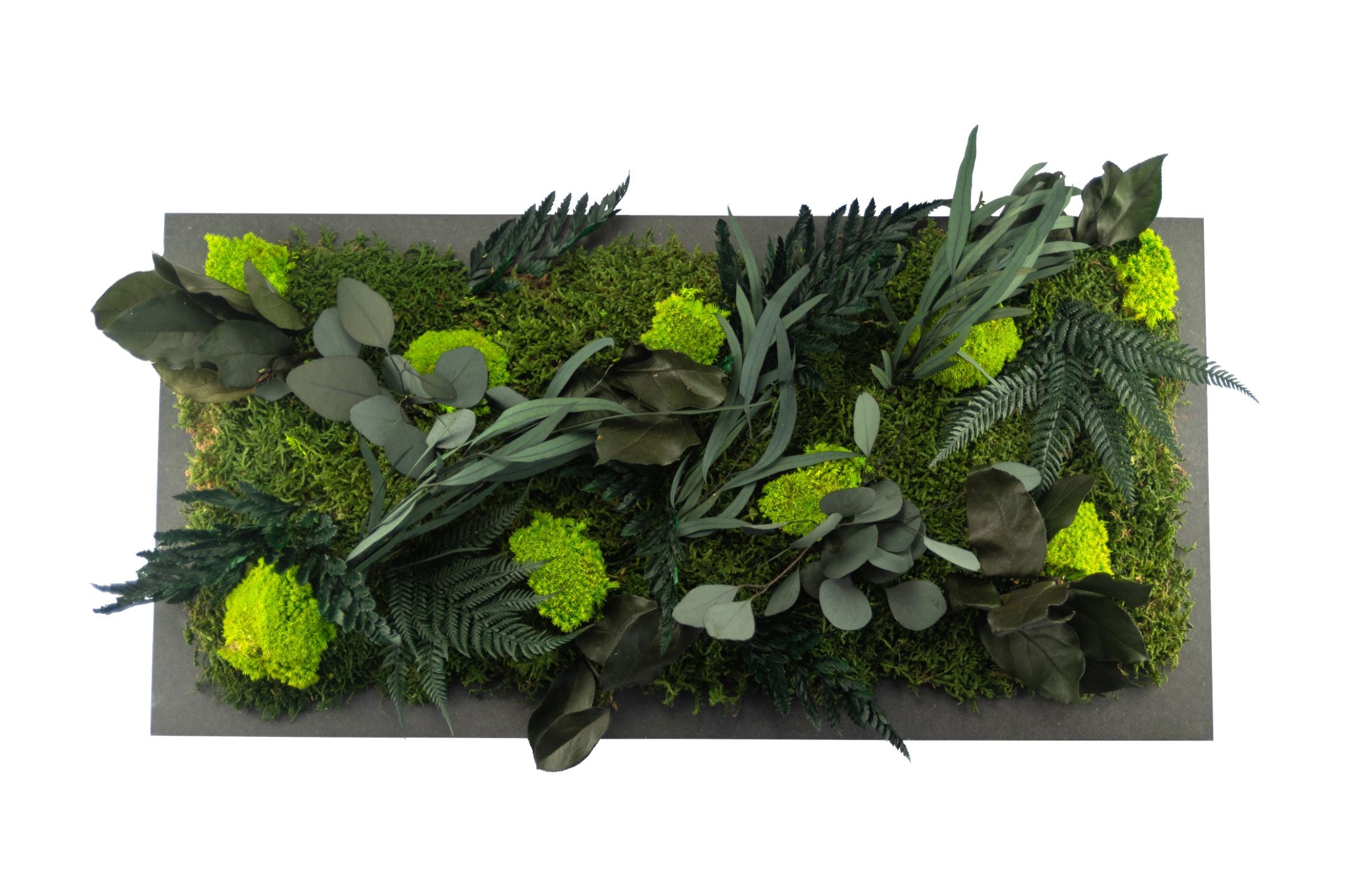 Pflanzenbilder: grüne Kunst für Ihr Zuhause – Greenfinity